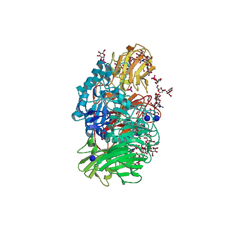 Beta-galactosidase Enzyme Donor - Molecular Depot