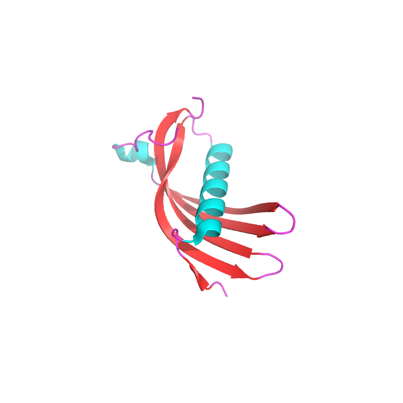 Cystatin C Protein Recombinant - Molecular Depot