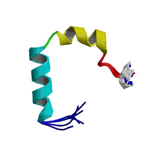 Amylin (Human) - Molecular Depot