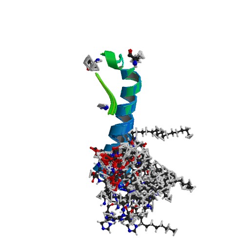 Exendin (5-39) - Molecular Depot