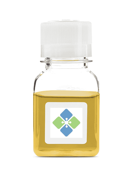 Normal Donkey Serum - Molecular Depot