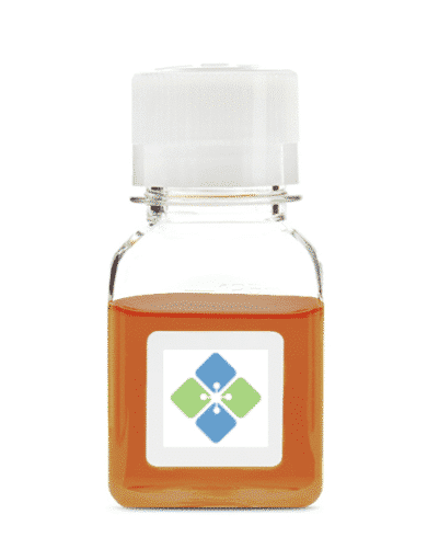 Colloid Gold Nanoparticles (60 nm) - Molecular Depot