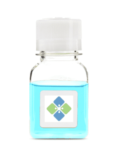 Rhesus Monkey Spleen RNA - Molecular Depot