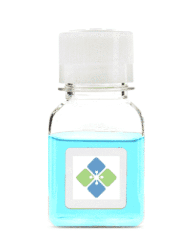 pBR322 Vector - Molecular Depot