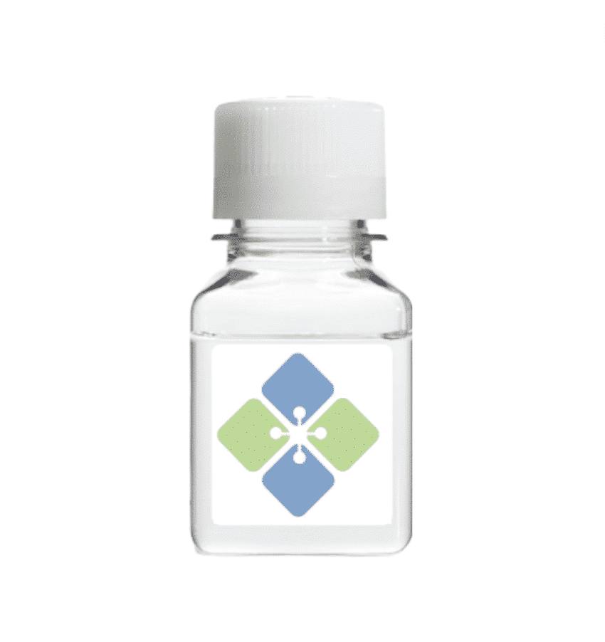Hemocyanin, High Purity, Endotoxin-Free, Sterile-Liquid (Keyhole Limpet ...